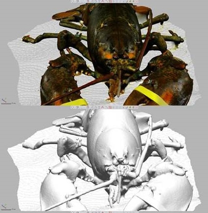 Lobster with Artec 3D Scanner | Laser Design