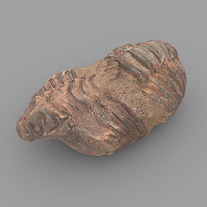 Fossil | Laser Design